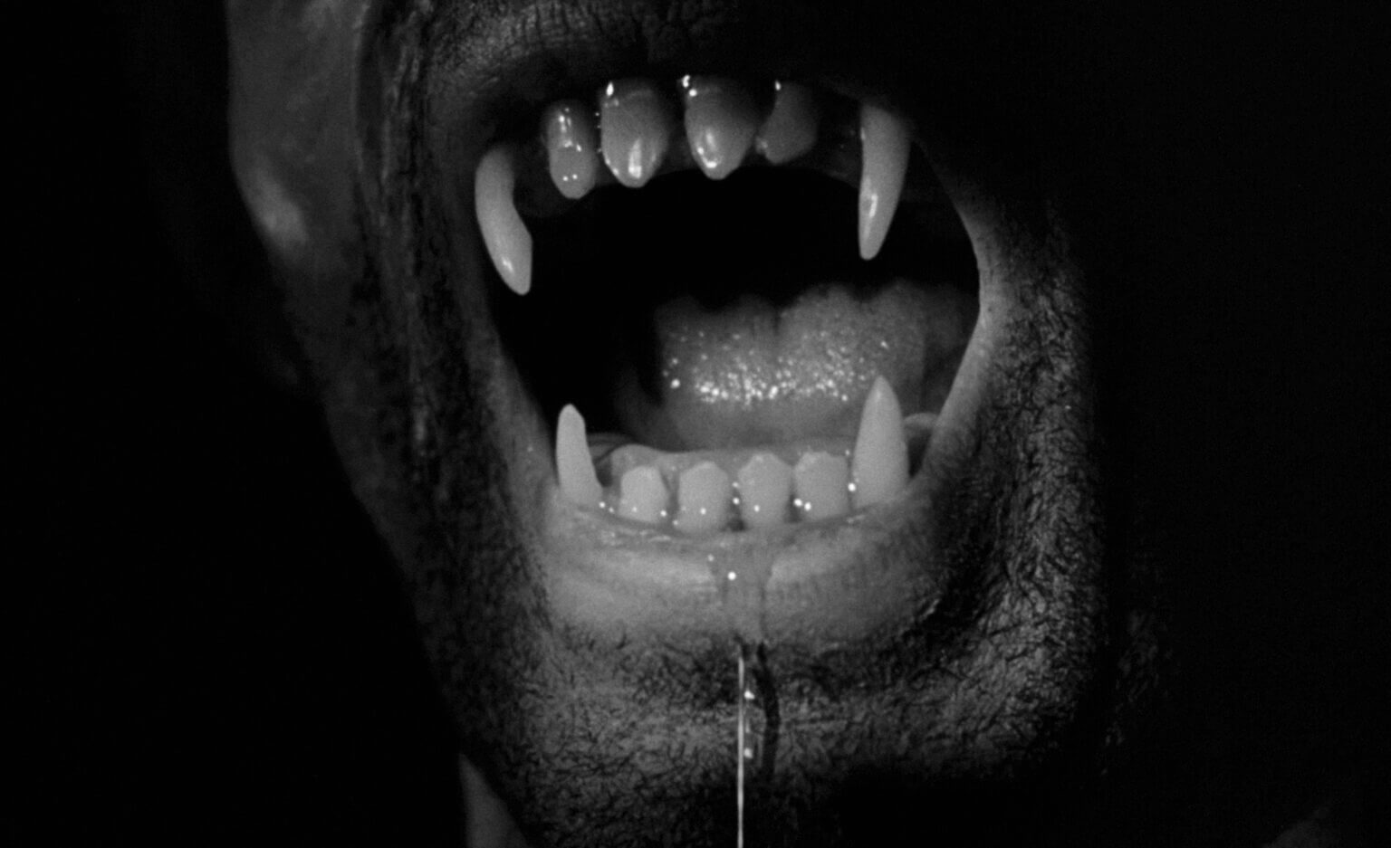 Le mythe des vampires : une exploration historique et culturelle – L ...